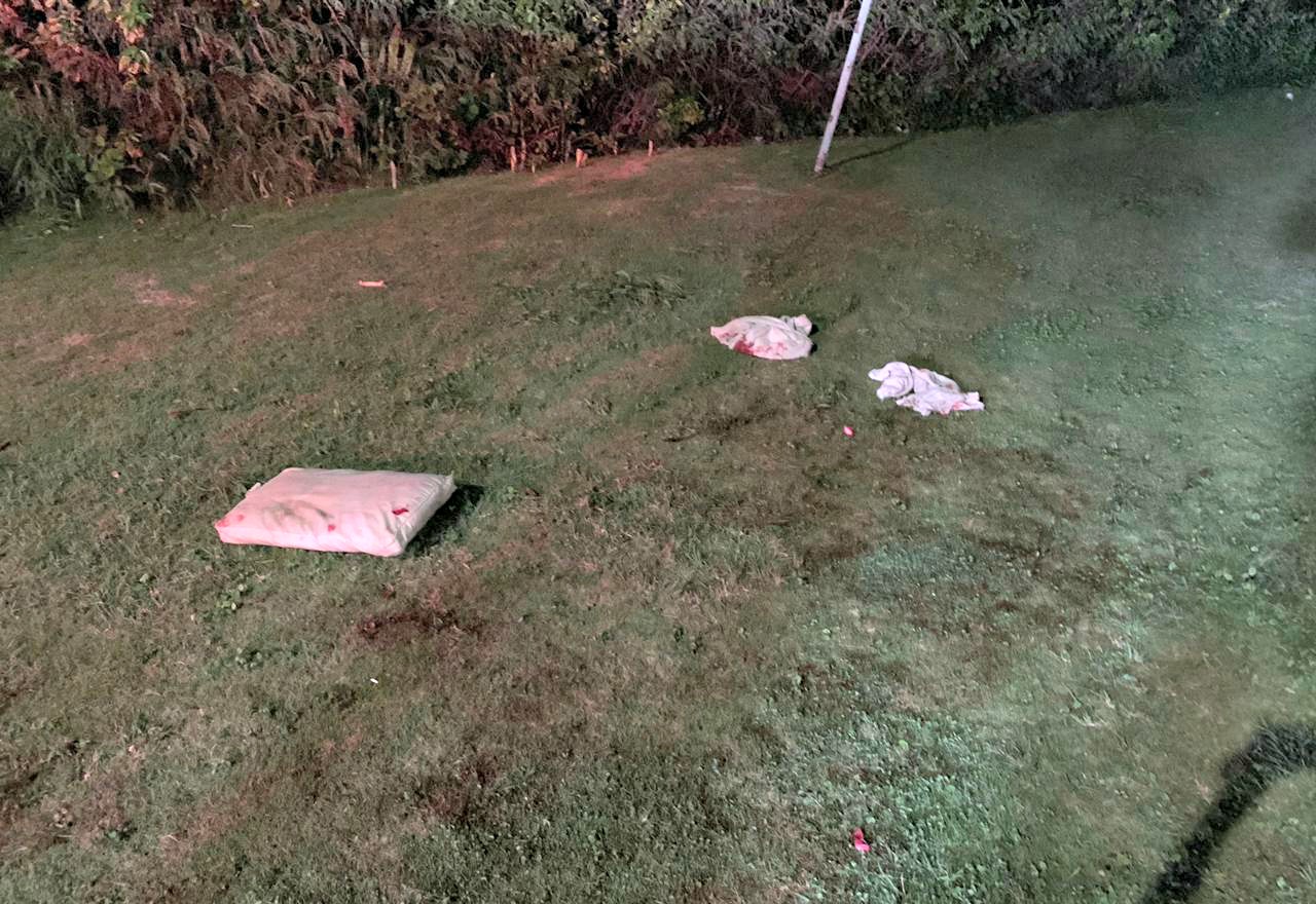 7 Pit Bulls Put To Death After Viciously Attacking 84-Year-Old Man In ...