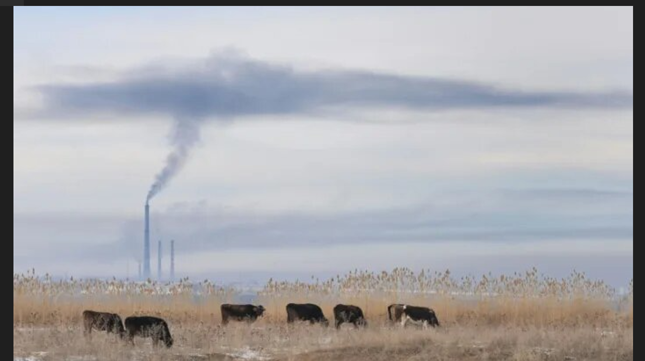 Carbon Capture: How Does CO2 Removal Work? – Virgin Islands Free Press