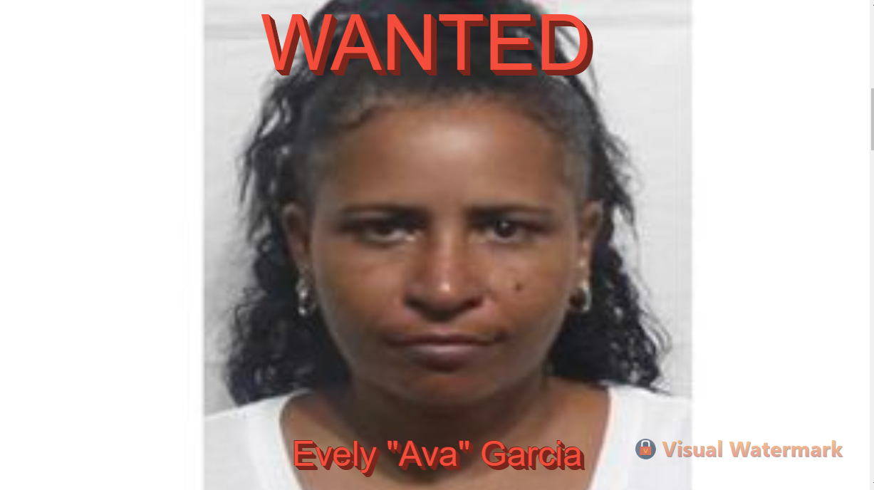 Help Police Find Evely ‘Ava’ Garcia Wanted For Domestic Violence On St ...