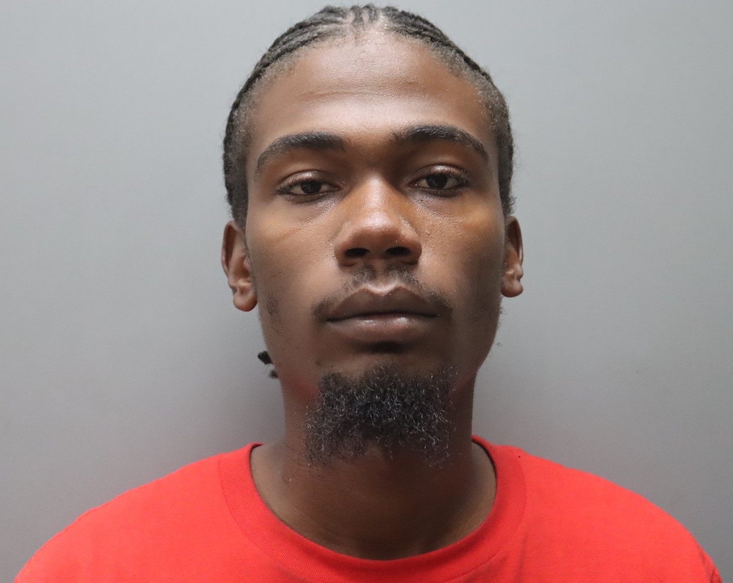 St. John dragnet leads to search of satchel, yields illegal gun ...
