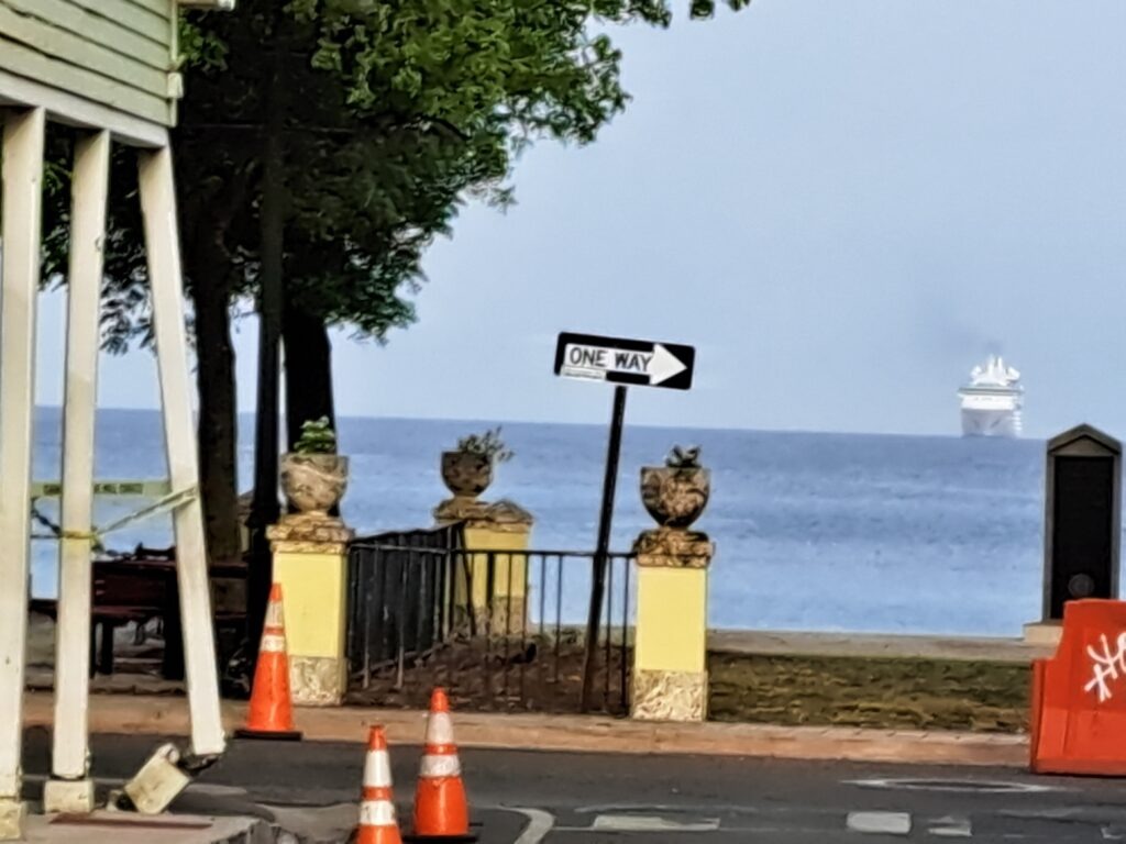 BREAKING: VIFP Issues Urgent Safety Advisory to Royal Caribbean ...